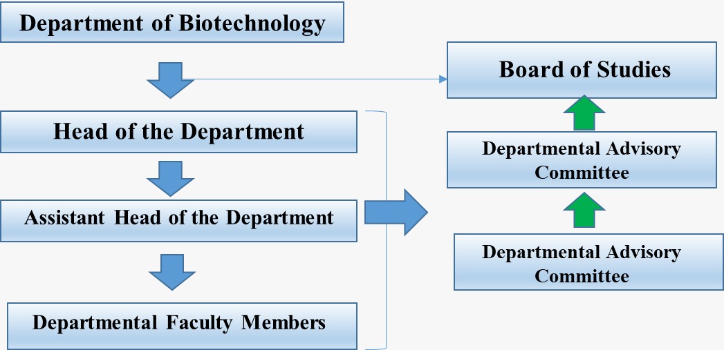 Organogram